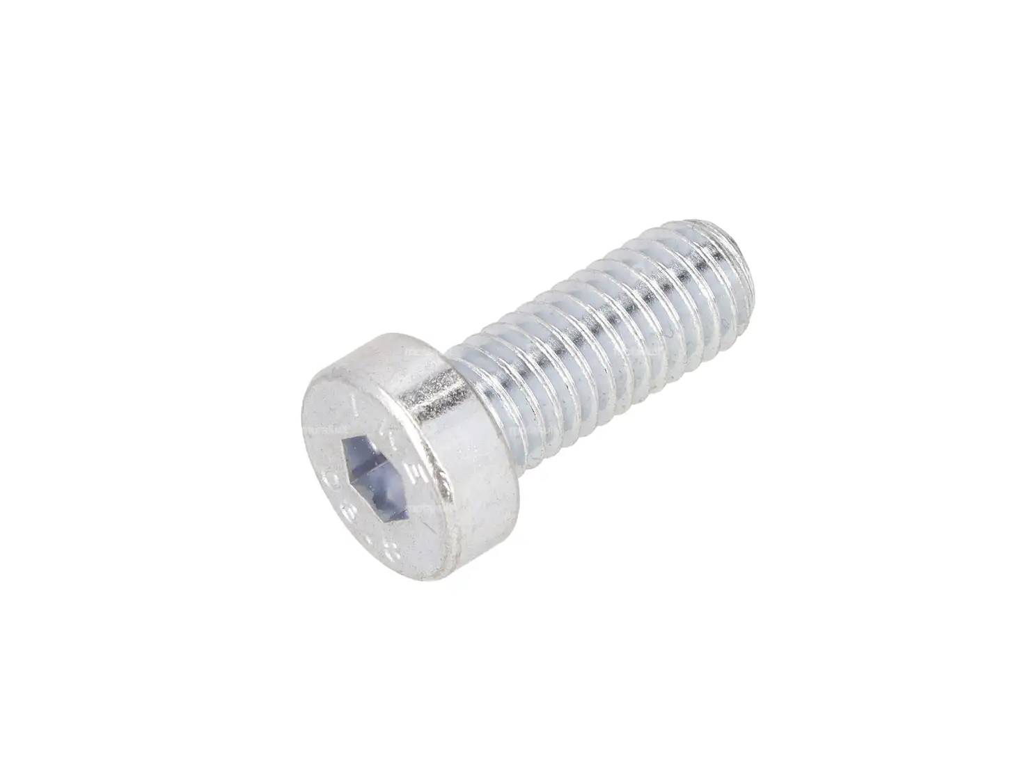 Screw M8x20 cylinder head low hexagon socket, galvanized | mofakult